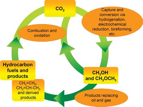 Easy Sulfur Cycle Diagram