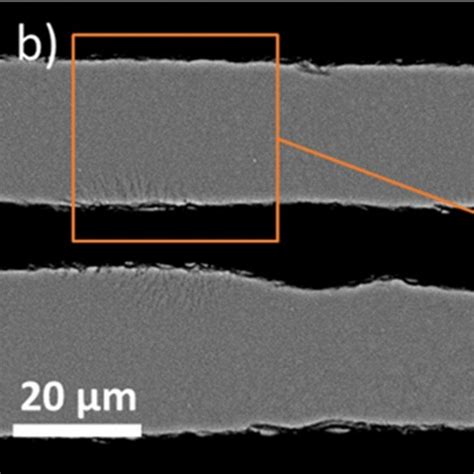sem bse micrographs of a longitudinal cross section of the as spun