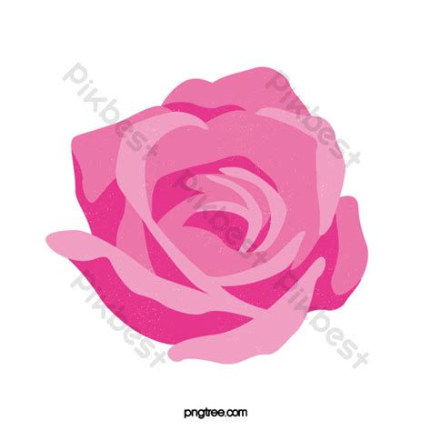 Cartoon Pink Drawing Flowers Illustration Png Images Psd Free