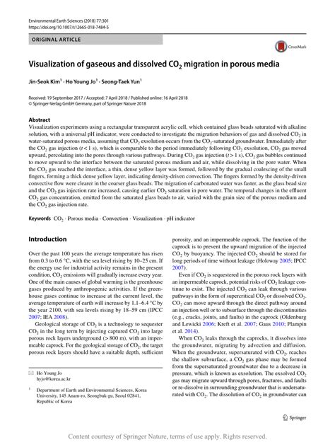 Visualization Of Gaseous And Dissolved Co2 Migration In Porous Media