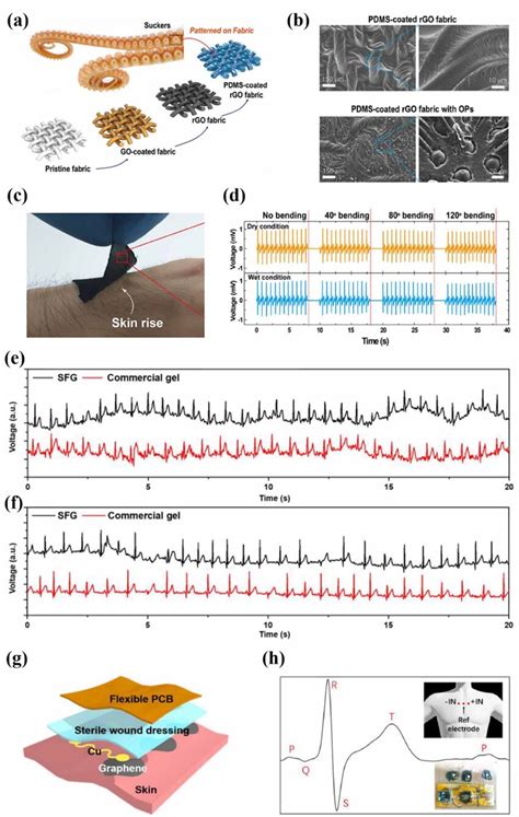 A Schematic Of The Fabrication Process Of Gcf Sensors B Sem Images