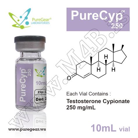 Pg Testosterone Cypionate 250mg 10 Ml Vial Dm X 2 Vials Set