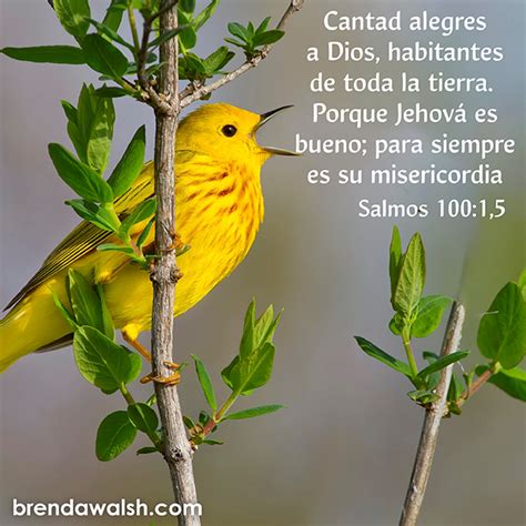 Salmos 100 1 5 Brenda Walsh Scripture Images