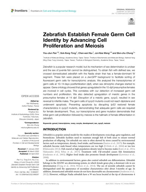 Pdf Zebrafish Establish Female Germ Cell Identity By Advancing Cell
