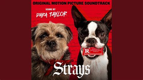 Fetch ‘ N F And K Youtube