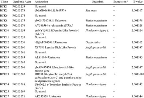 Up And Down Regulated Genes With Significant Homology To The Annotated