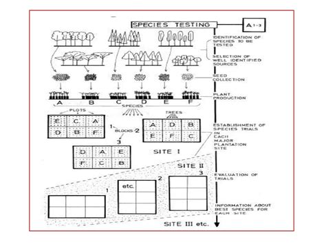 Provenance And Species Trials In Forest Tree Improvementpptx