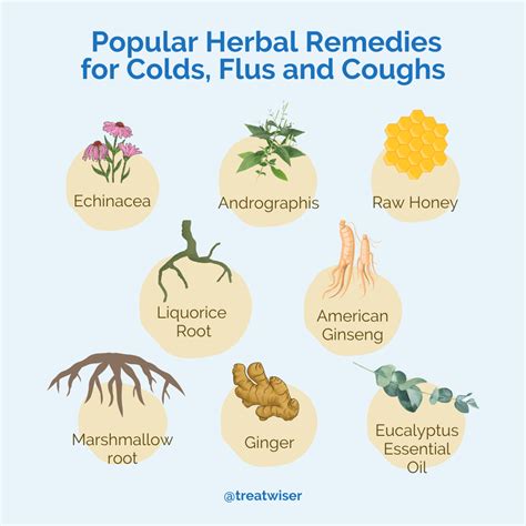 Top 8 Herbal Remedies For Colds Flu And Coughs And How To Take Them
