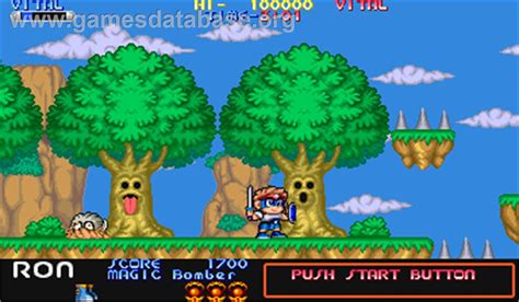 Mega Twins Arcade Artwork In Game