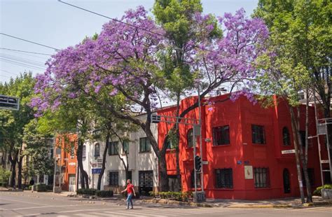 13 Best Mexico City Neighborhoods To Stay In All Safe Adventurous Kate