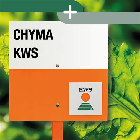 Chyma Kws First Cr Variety From Kws Kws Uk Ltd