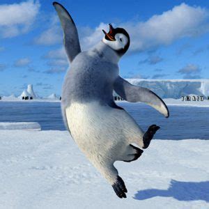 Protocol Oriented Programming trong Swift phần 2 Why don t you Swifty