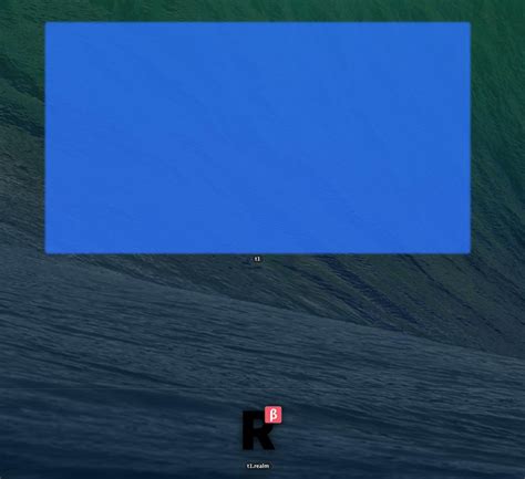 Realm Browser Is Working But Not Showing Stack Overflow