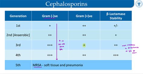 Antibacterial Drugs Flashcards Quizlet