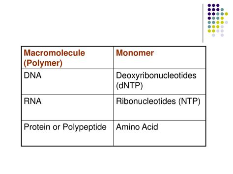 Basic Molecular Biology Ppt Download