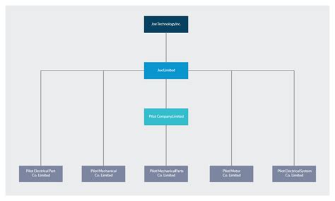 Holding Company Structure Chart Template