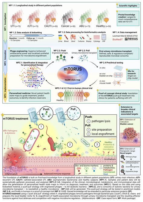 Balgrist University Hospital Mtorus Competence In Microbiome