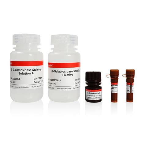 China Customized Aging Cell β Galactosidase Staining Kit Manufacturers Suppliers Factory