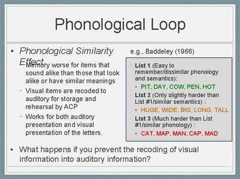 psy 368 human memory working memory cont demos