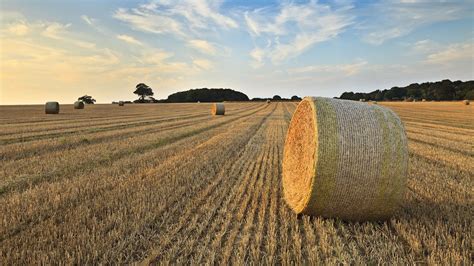 Properties For Sale Whittley Parish Estate Agents In Attleborough
