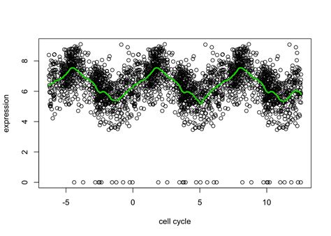 Cell Cycle Genes