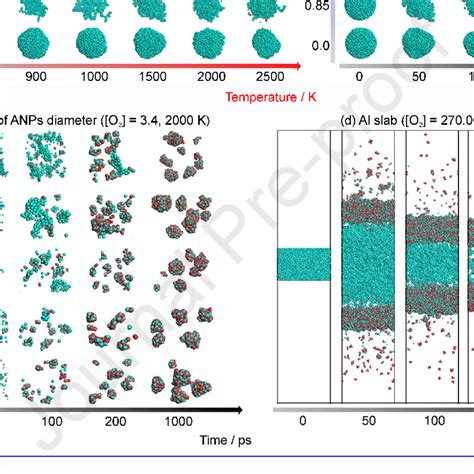 Morphological Evolution Local View Of The Anps And Al Slab During Download Scientific Diagram