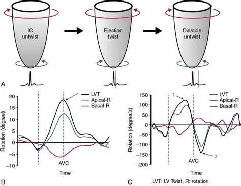 Detection And Characterization Of Diastolic Dysfunction Thoracic Key