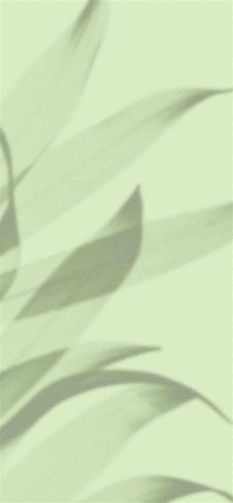 Download Light Green Background