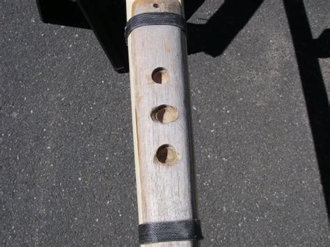 Yuloh Plans Sailing Auklet