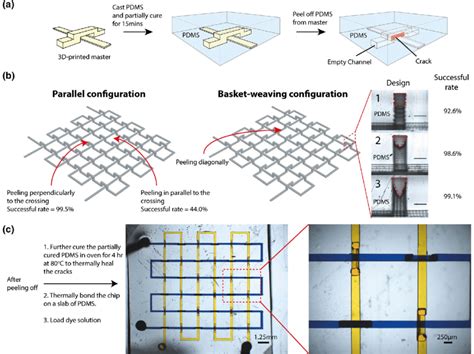 Single Step Molding For Truly 3d Microfluidic Chips A Schematic