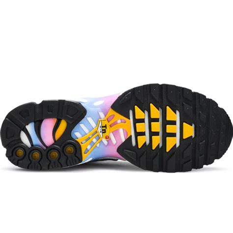 Nike Air Max Plus Tn Rainbow Womens Sole Provider