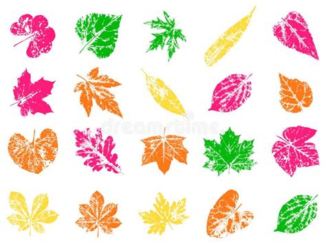 Leaf Stamp Imprint Of Autumn Fallen Leaves Creative Natural Decor