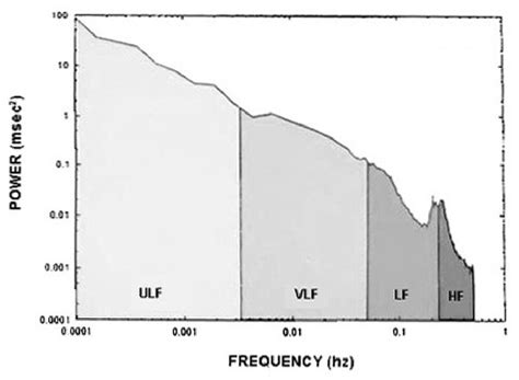 Figure 1 From Non Linear Heart Rate Variability And Risk Stratification In Cardiovascular