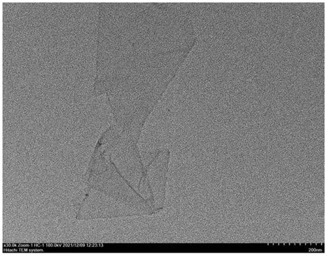 Effects Of Nano Graphene Oxide On The Growth And Reproductive Dynamics Of Spodoptera Frugiperda