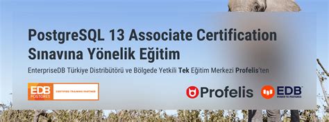 postgresql 13 associate certification sınavına yönelik eğitim İçin Ön