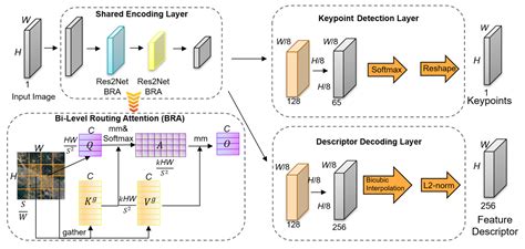 Robust Optical And Sar Image Matching Via Attention Guided Structural Encoding And Confidence
