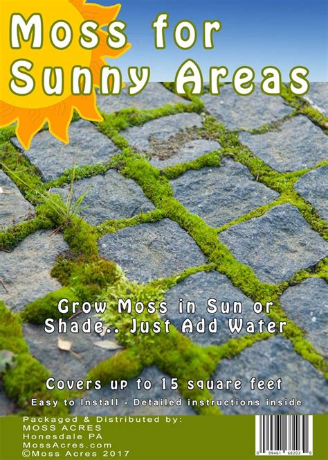 Sun Tolerant Moss Moss For Sunny Areas Moss Acres Growing Moss