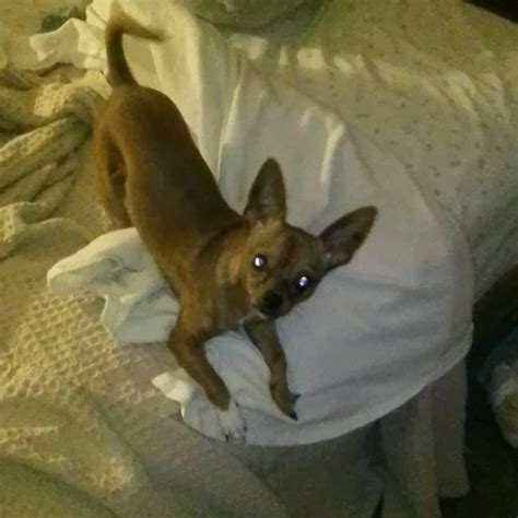 Tabitha Justice Youtube