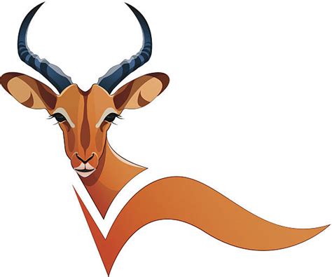 Best Antelope Illustrations Royalty Free Vector Graphics And Clip Art