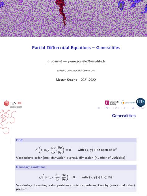 Pde Slides0 Pdf Partial Differential Equation Mathematics
