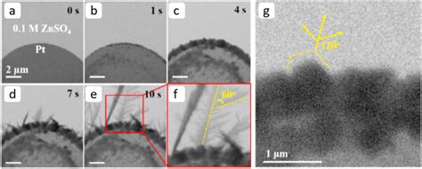 Using Mems Based Liquid Cells Sasaki Et Al Analyzed Electrochemical