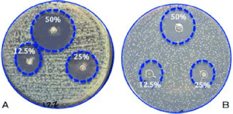 Well Plate Diffusion Method Antimicrobial Activity Of Melaleuca