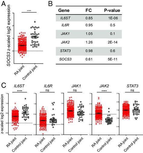 Comparison Of Gene Expression Levels In Synovium From Patients With Ra Download Scientific