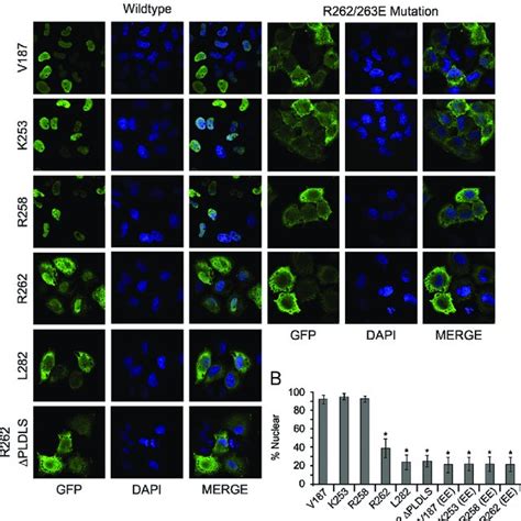 The C Terminus Of E1a Binds Importin α Like A Bipartite Nls Human