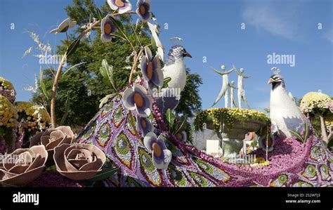 Pasadena California Usa 3rd January 2025 At 2025 Peacocks Float At