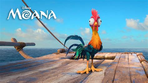 Download Hei Hei The Rooster Moana 4k Wallpaper