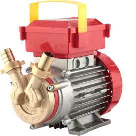Reversible Transfer Pumps Electric