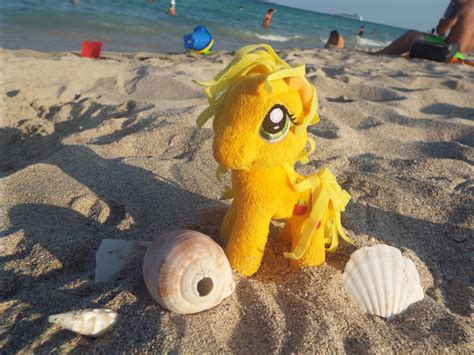 Mlp Jackies Shell Collection By Krazykari On Deviantart