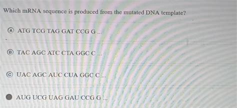 Solved Which Mrna Sequence Is Produced From The Mutated Dna Template ④ Atg Tcg Tag Gat Ccg G