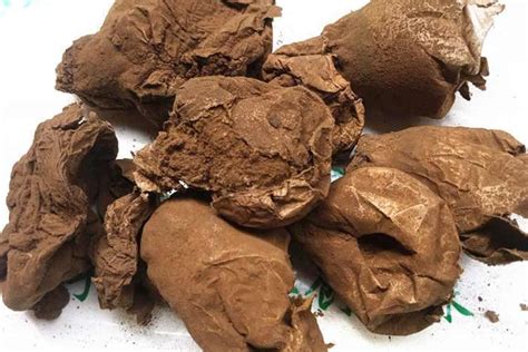 Ma Bo Mabo Chinese Ma Bo Herb Mabo Chinese Food Supplier Native Chinese